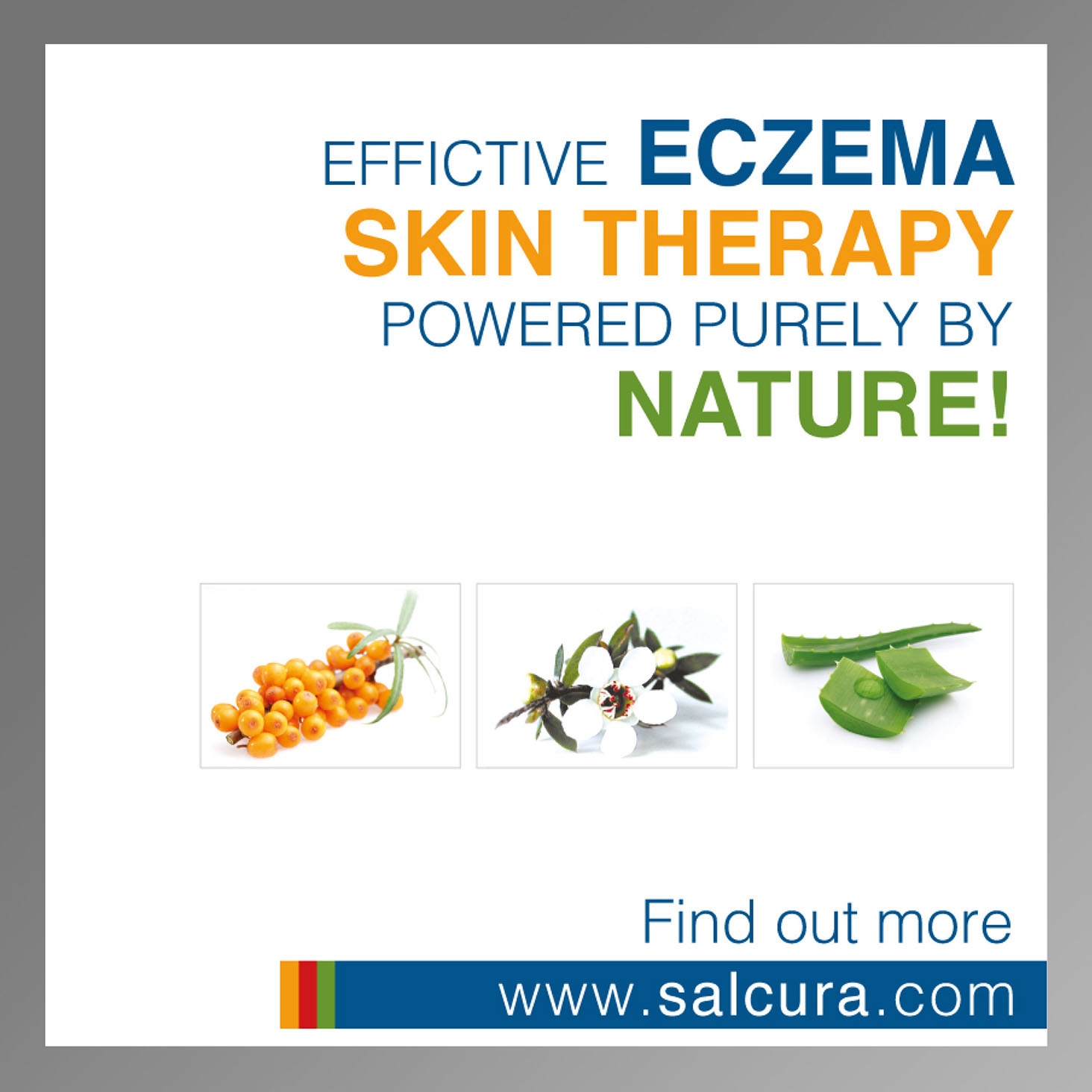 The Orange Composition | SALCURA